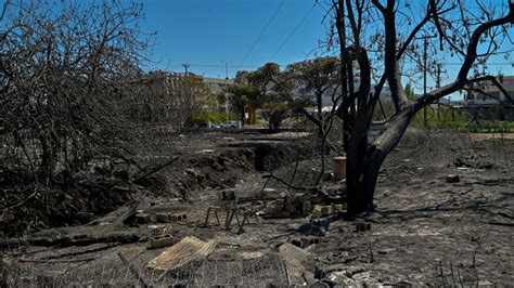Ситуацията с пожара на гръцкия остров Евия се е подобрила Новини бг