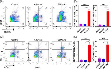 Memory T Cells Analysis Flow Cytometry Analysis Of Mouse Splenocytes
