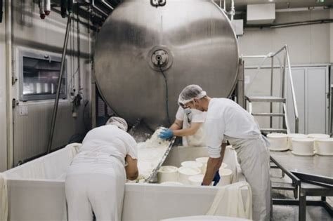 Prioritizing Worker And Workplace Safety In Dairy Processing Dairy