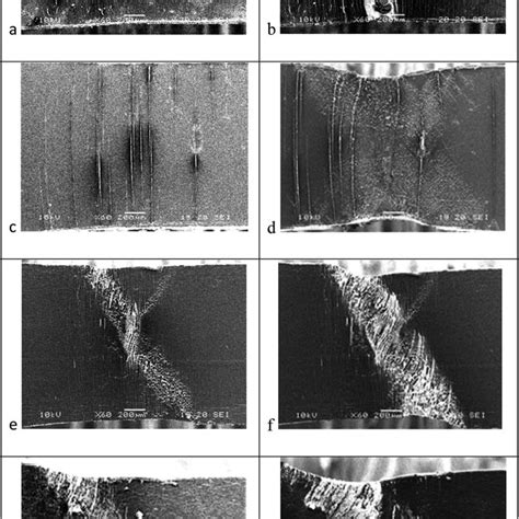 In Situ Sem Micrographs Of The Structure Evolution Of Plapbat 973