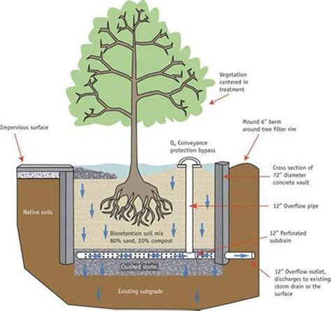 Tree Well Diagram
