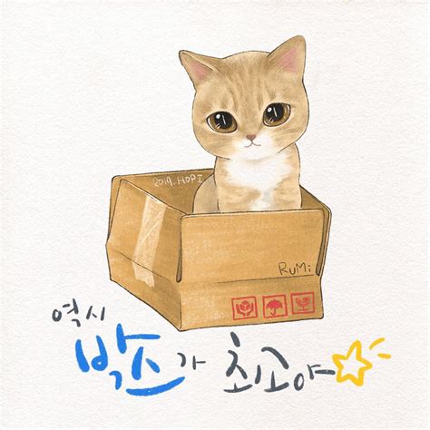 호피 그린다냥 고양이이야기 고양이는 박스를 좋아해 크기가 큰 박스나 작은 박스나 고양이에겐 세상에서 제일 좋은 스위트룸