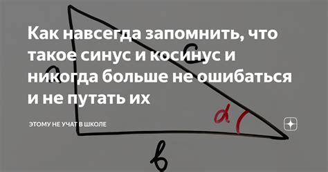 Как навсегда запомнить что такое синус и косинус и никогда больше не ошибаться и не путать их