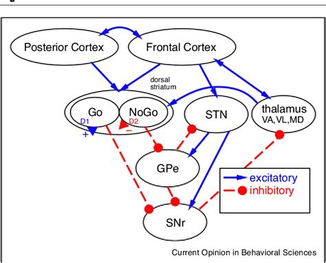 Figure 1 From Understanding Subprocesses Of Working Memory Through The Lens Of Model Based