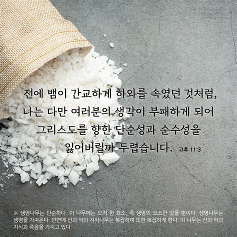 한국복음서원 고후 113 전에 뱀이 간교하게 하와를 속였던 것처럼 나는 다만 여러분의 생각이 부패하게 되어 그리스도를 향한 단순성과 순수성을 잃어버릴까 두렵습니다