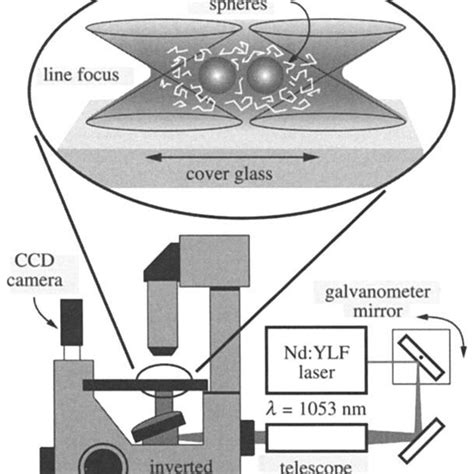 Polymer Depletion In The A Dilute And B Semi Dilute Regimes The Download Scientific
