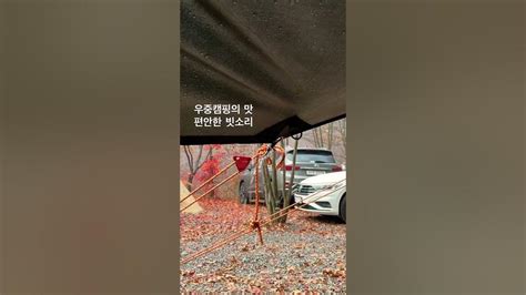 우중캠핑의 맛 Youtube