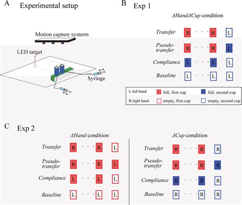 Experimental Setup And Experimental Design A Experimental Setup The