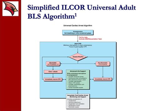 Ppt Understanding The 2010 Cprecc And First Aid Guidelines