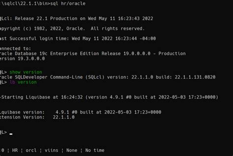 Oracle Sql Developer And The Oracle Database Schema Service
