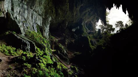 Los Colores Y Chillidos De Borneo Viajes Carrefour
