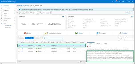 Exclude Unprotectable Database Powerprotect Data Manager Microsoft