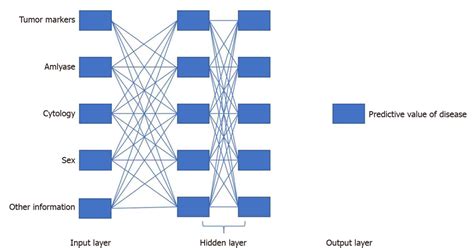 Algorithm Of Deep Learning Data Were Passed From Layer To Layer From