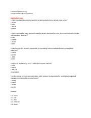 Networking Protocols And Layers Exam Questions And Subnets Course Hero