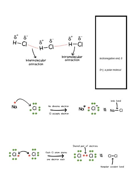 Reviewing Intra Intermolecular Forces Pdf Intermolecular Force Chemical Polarity
