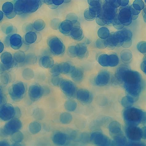 Unlocking Yeast Cell Potential In Biotechnology The Role Of Homogenizers Hommak Usa