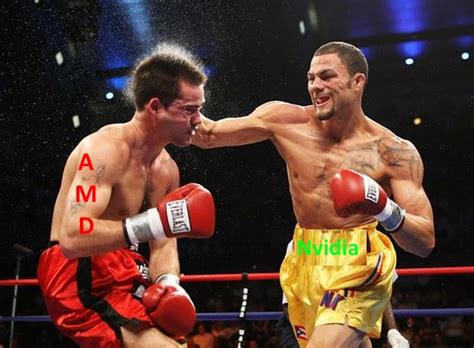 Graphics Card Market Share Nvidia Vs Amd Q