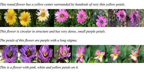 8 Samples Generated By The Least Squares Conditional Pggan From Text Download Scientific