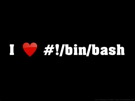 pentesting con bash cap i intro snifer l4b s