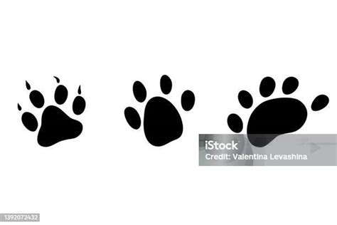 Стокова ілюстрація Лапа Принт З Кігтями Слід Тварини Відбиток Лапи Кішки Собаки Норки Лева Тигра