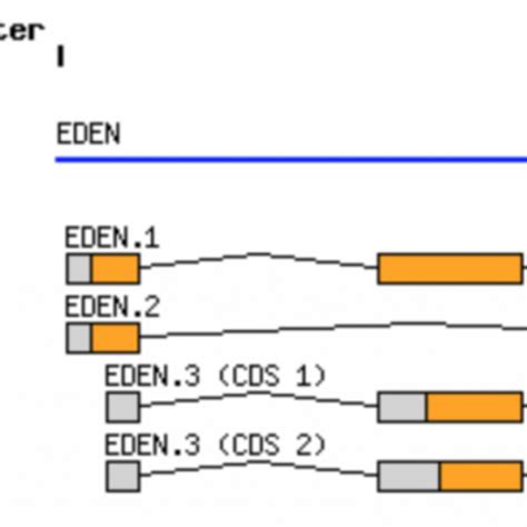 Gencode Human Genome Annotation Gff3 Kaggle