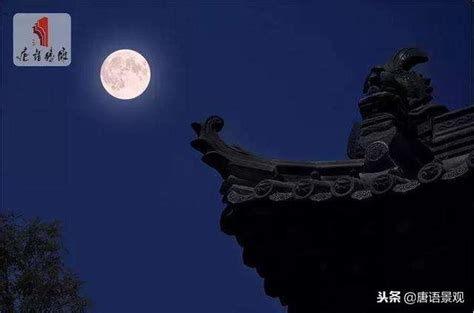 無法拒絕的中式美願天下人花好月圓 每日頭條