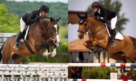 What Is Hunter Jumper Riding Disciplines Explained Rj Classics