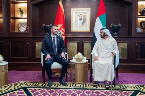 Спајић на пријему УАЕ жели да подијели знање искуство и најбоље свјетске праксе са Црном Гором
