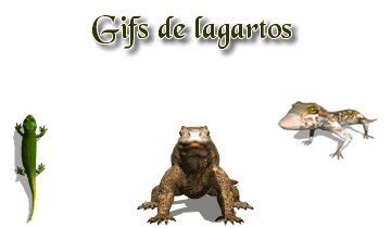 S Animados De Lagartos