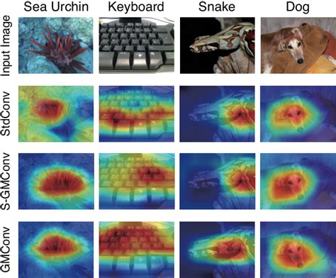 Figure 1 From Gaussian Mask Convolution For Convolutional Neural