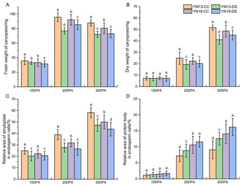 The Relationship Between Characteristics Of Root Morphology And Grain