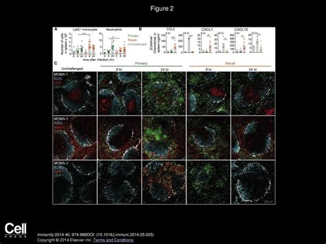 Volume 40, Issue 6, Pages (June 2014) - ppt download