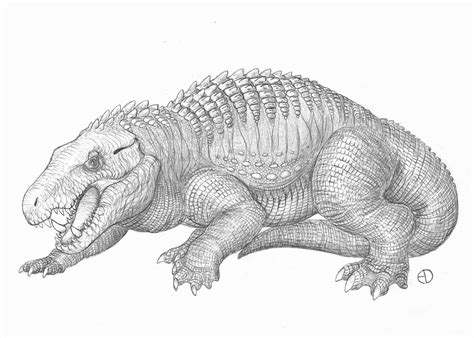 Barinasuchus By Saurarch On Deviantart