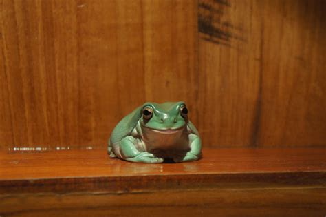 Dsc05287 Steffi Flickr