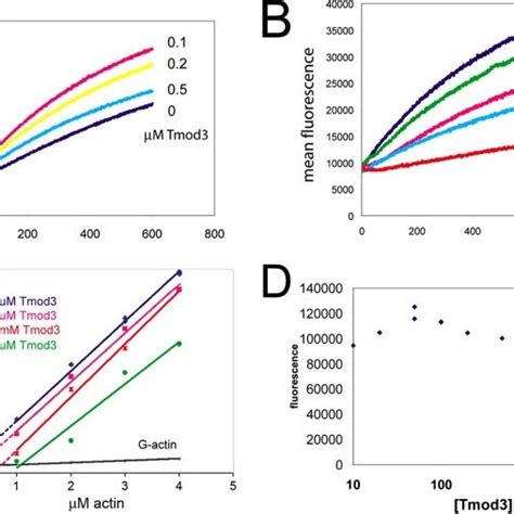Tmod3 Sequesters Actin Monomers In Pyrenyl Actin Polymerization Assays