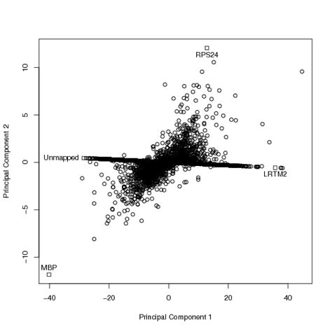Functional Principal Components Analysis Loadings Plot Two