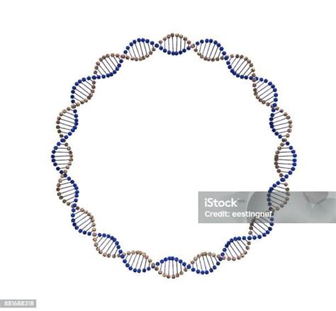 추상 Dna 용수철 형입니다 흰색 배경에 고립 3d 렌더링 그림입니다 0명에 대한 스톡 사진 및 기타 이미지 0명 Dna 건강관리와 의술 Istock
