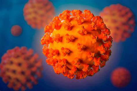 Ventilación Retener Raíz Consulta Sobre Vacunas Belicoso Feo Observación