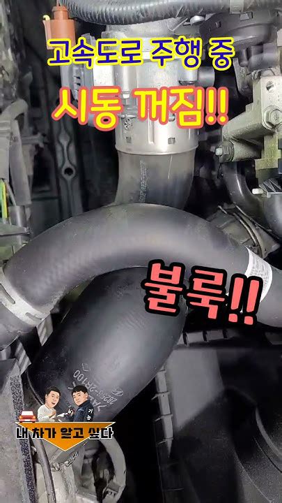 기아 카니발 고속도로 주행 중 시동 꺼짐 Youtube