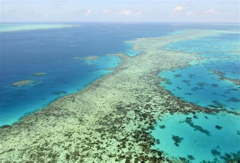 Australia Fights Un Downgrade Of Great Barrier Reef Health Egypt