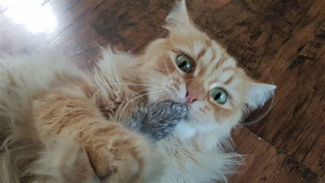 이웃을만드는사람들 역시 기술이 있어야해 시트지 랩핑은 보다보니 함 도전해볼만한거 같은데 계단난간시트지 시트지작업 시트지랩핑 파주테라스하우스 파주테라스하우스