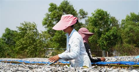 Mideq Migration For Development And Equality