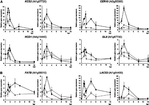Effect Of Myb30 Deregulation On The Expression Of Pathogen Induced