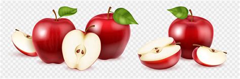 사실적인 3d 사과 과일 전체 조각 및 붉은 잘 익은 사과 조각의 집합은 투명한 배경에 고립되어 있습니다 3차원 형태에 대한 스톡 벡터 아트 및 기타 이미지 Istock