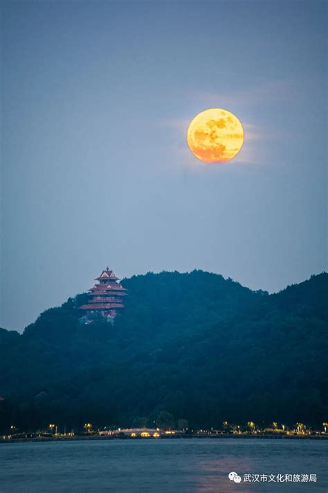 今年中秋十五的月亮十五圆，在武汉这样赏月轮播图新闻中心长江网cjncn