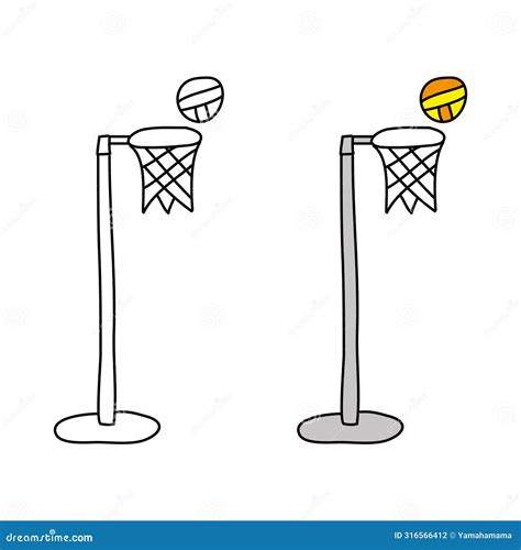 Netball Stock Vector Illustration Of Yellow Netball 316566412