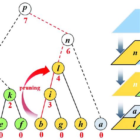 The Branch Pruning Diagrams With Pruning Factor í µí± í µ 4 Left Download Scientific Diagram