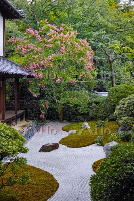 京都府 妙心寺大心院阿吽庭 52151179 の写真素材 アフロ