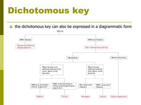 PPT Dichotomous Keys PowerPoint Presentation Free Download ID 6088751