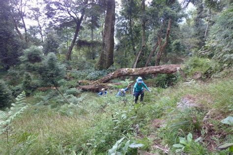 重裝兩日悠遊540林道登百志興保山百志興保山北峰永安山與永安山東南峰 健行筆記